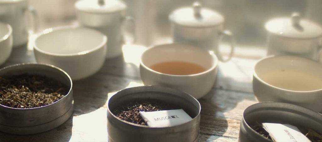 Top 5 Tea Trends in 2021 – Luxmi Estates
